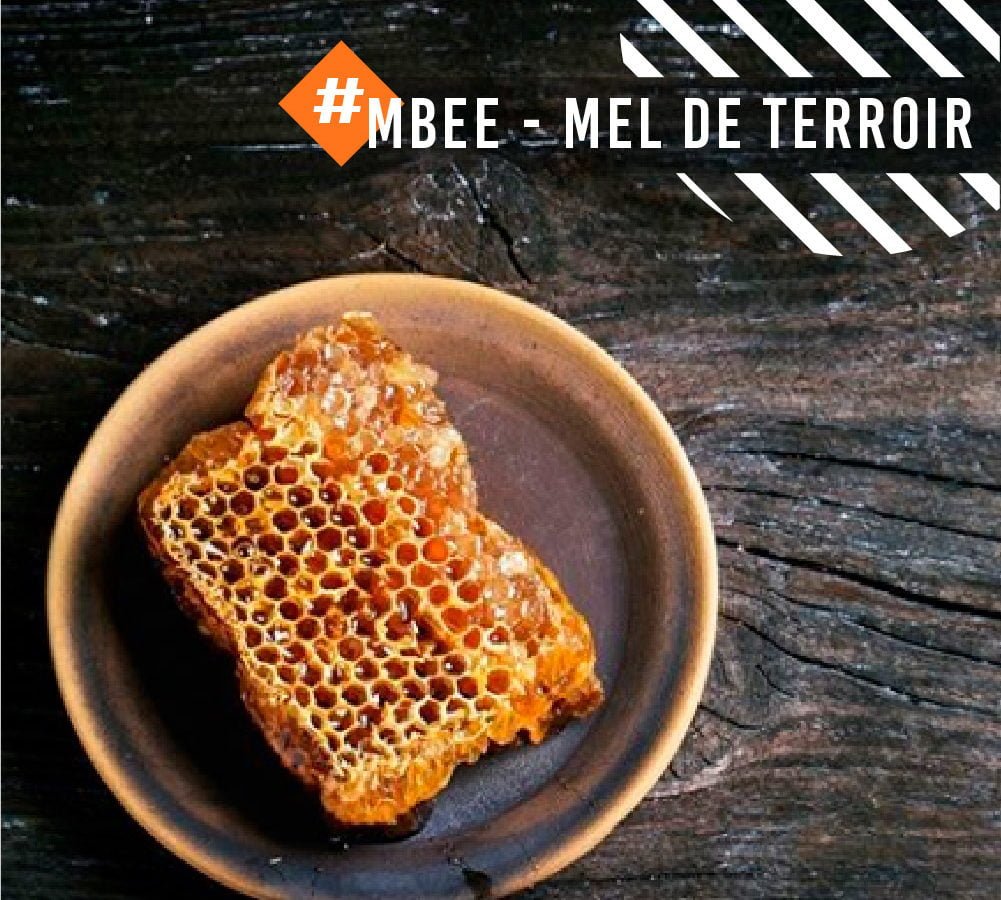 ESPECIAL - RECEITAS COM MEL Receita e Dicas - Pitadas & Palpites